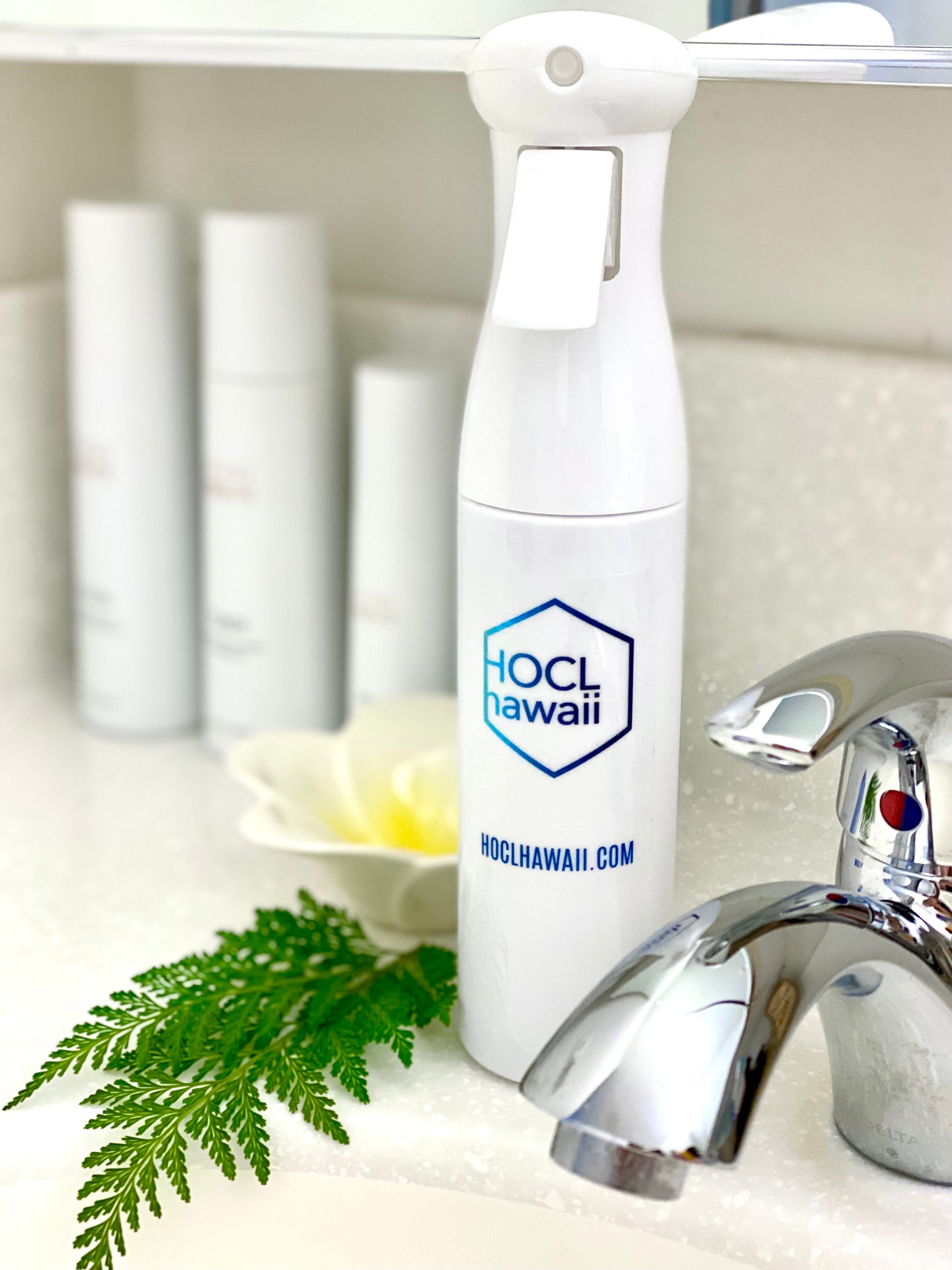 Products – HOCLhawaii